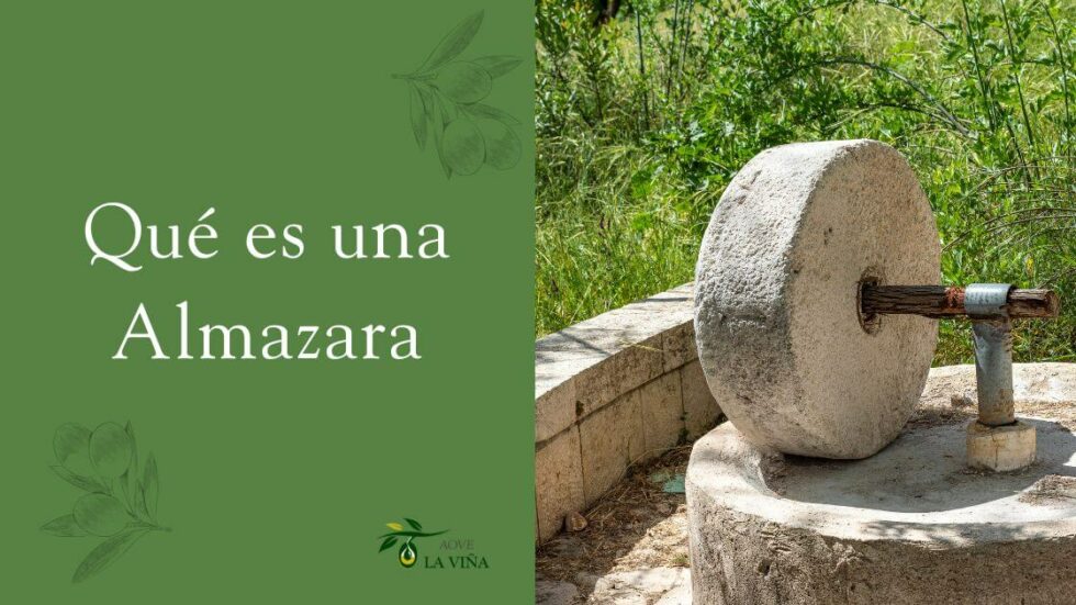 Qué es una almazara: historia, funcionamiento e importancia