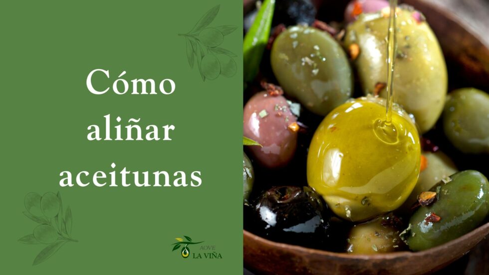 Cómo aliñar aceitunas en casa: Recetas fáciles