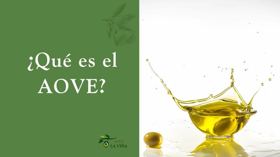🌿¿Qué es el AOVE? Lo que debes saber sobre el oro líquido
